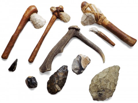 Stone Age Secrets Virtual School Visit | Time Seekers - Exploring History